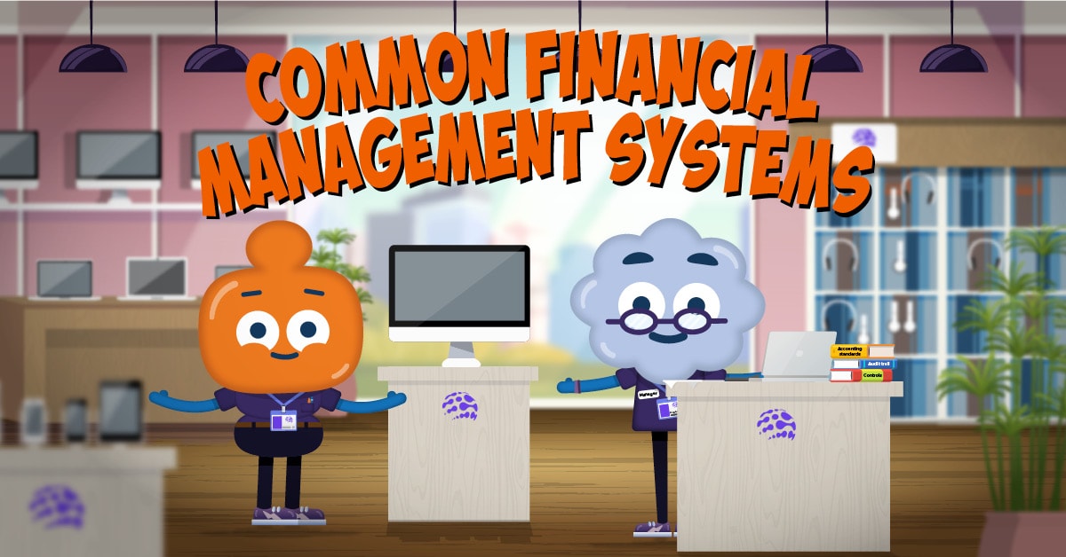 Common Financial Management Systems | TalentLibrary